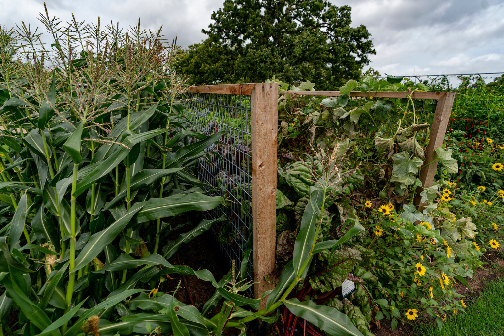 Leach Teaching Gardens | The Gardens at Texas A&M University